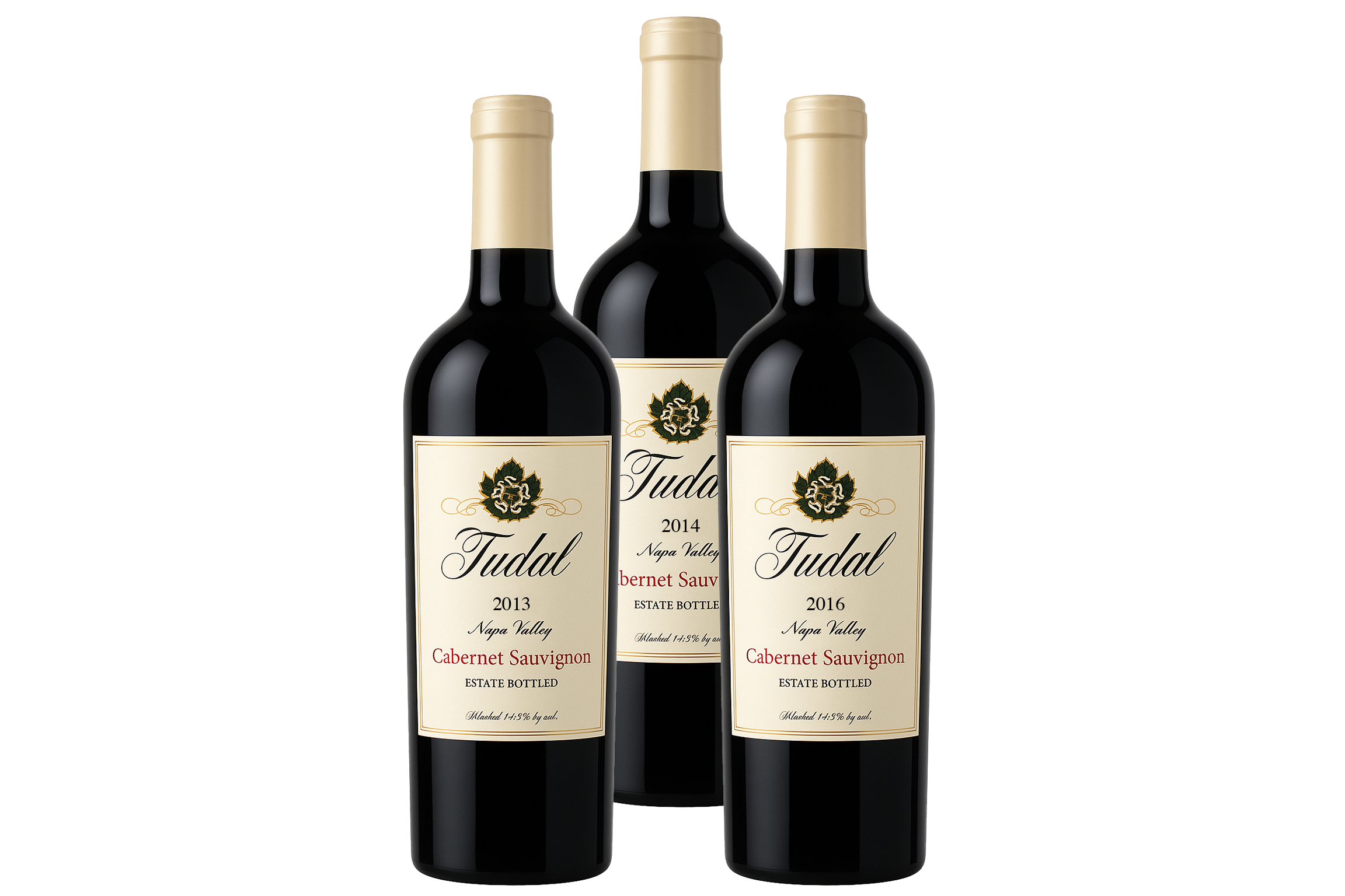The Best of Tudal